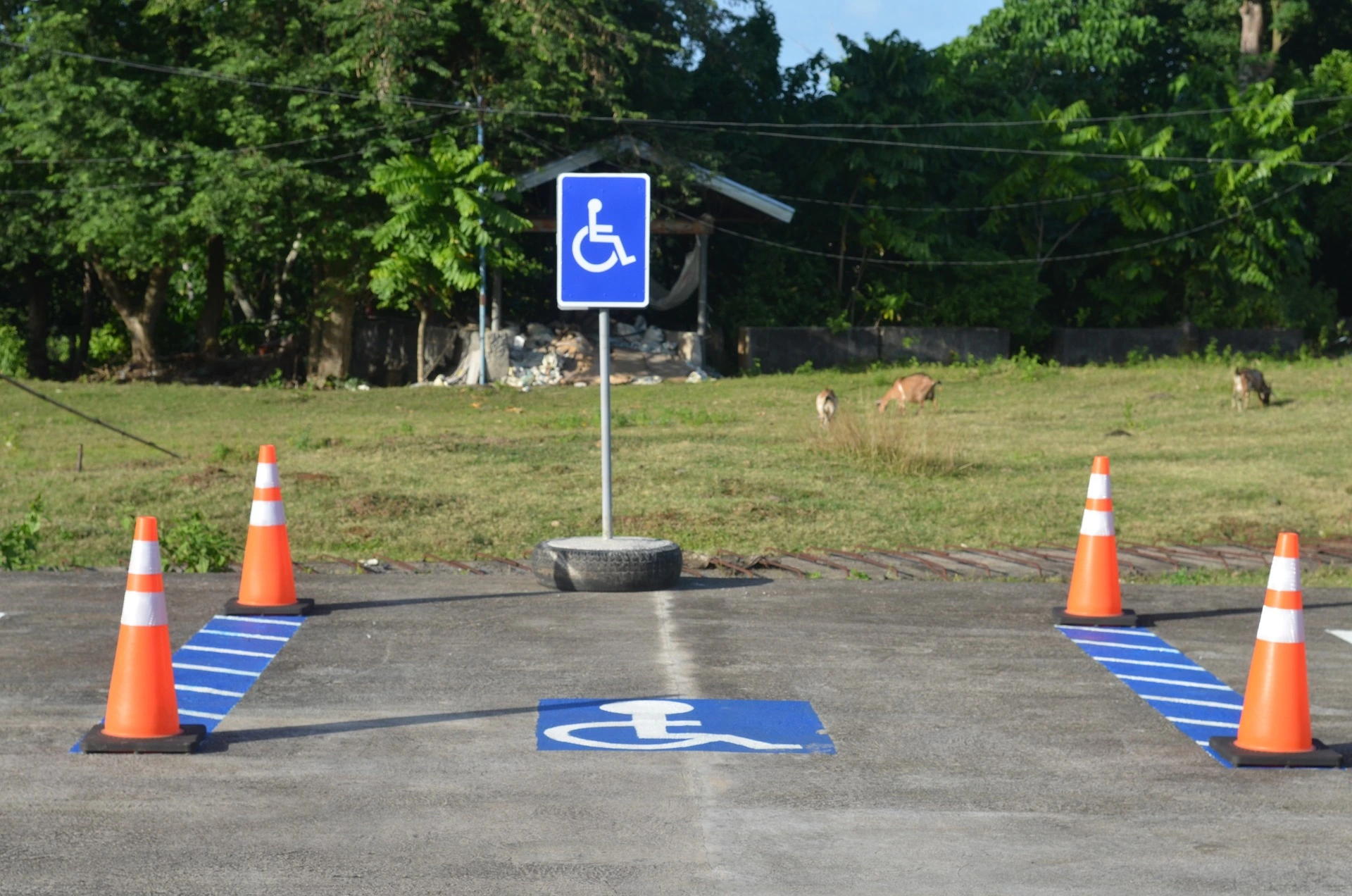 Como obter as isenções nos impostos para carros PcD? | Webmotors