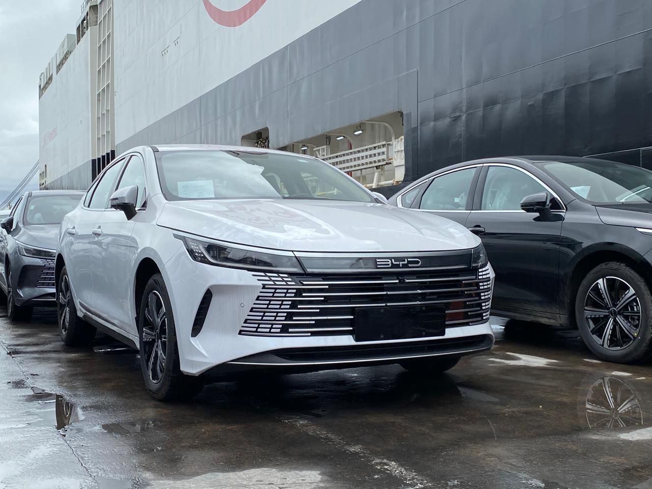 BYD King e Song Pro: em breve na sua garagem